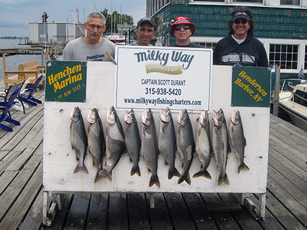 Another Lake Trout Limit! - Milky Way Fishing Charters