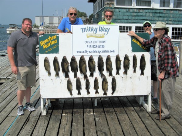 A Nice Catch of Bass In Spite of Choppy Seas! - Milky Way Fishing Charters